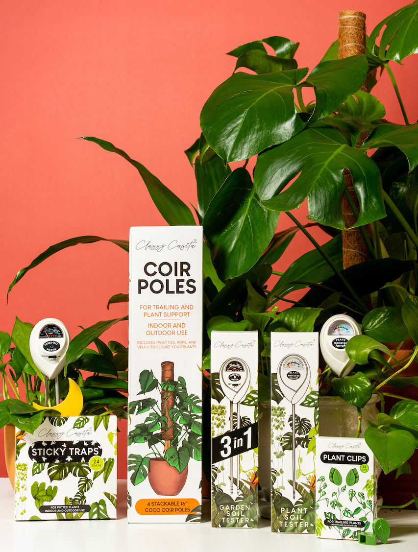 Plant Lover Bundle – Classy Casita